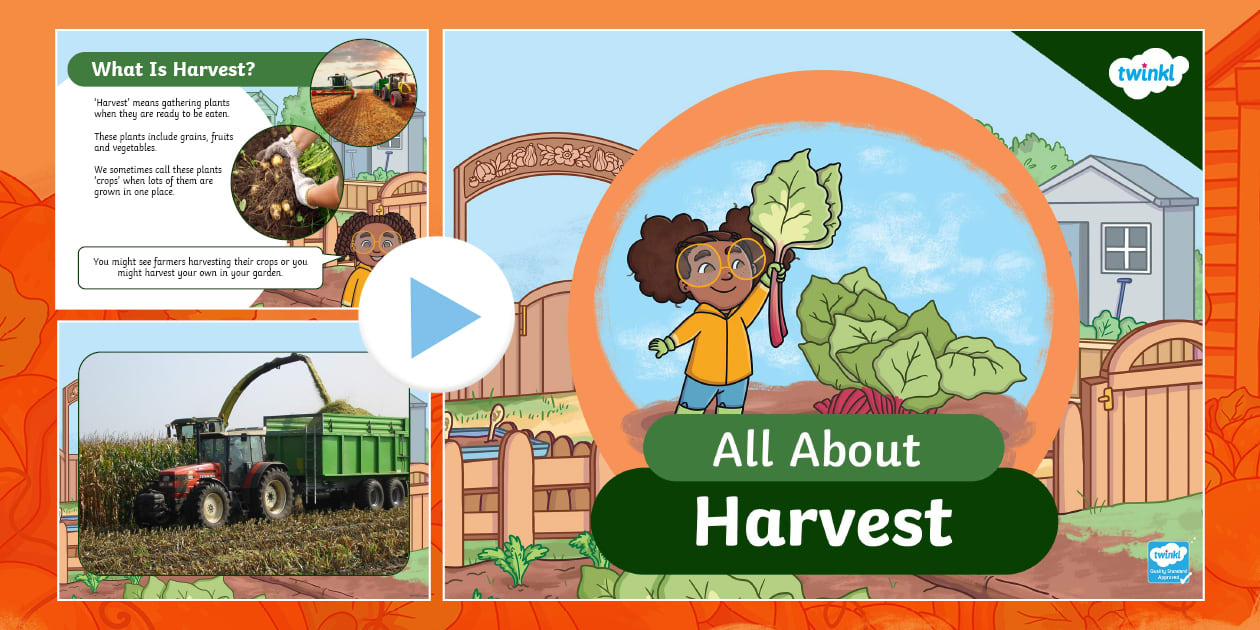 Kindergarten All About Harvest PowerPoint (Teacher-Made)