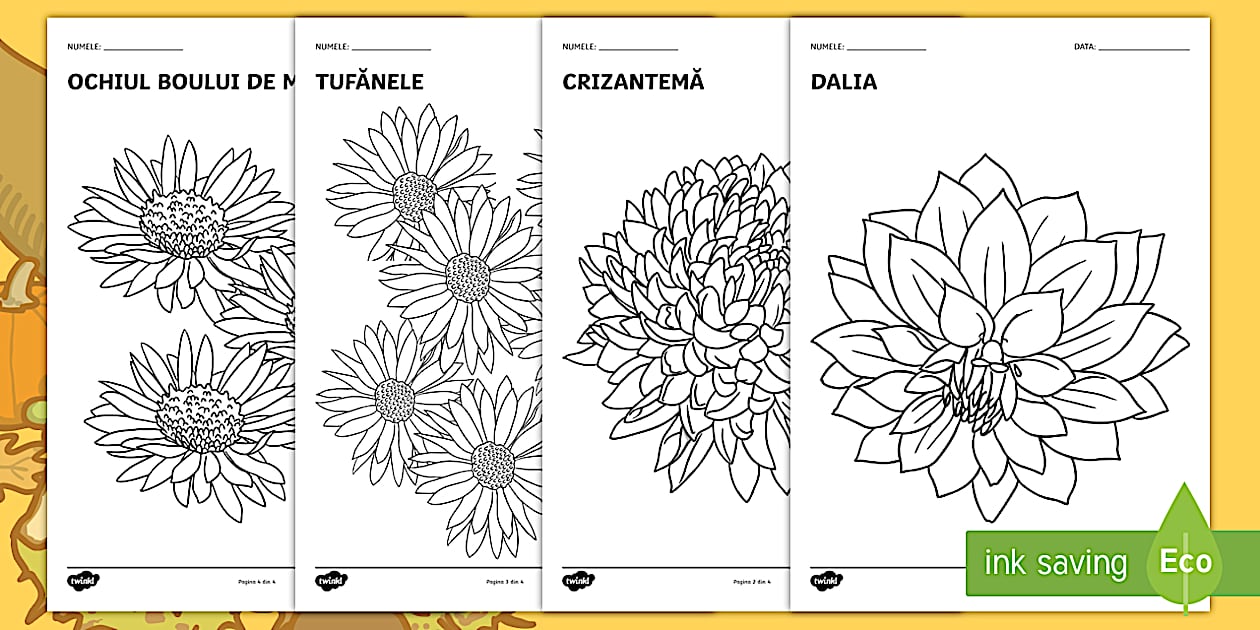 Colorează în culorile toamnei Pagini de colorat - Twinkl