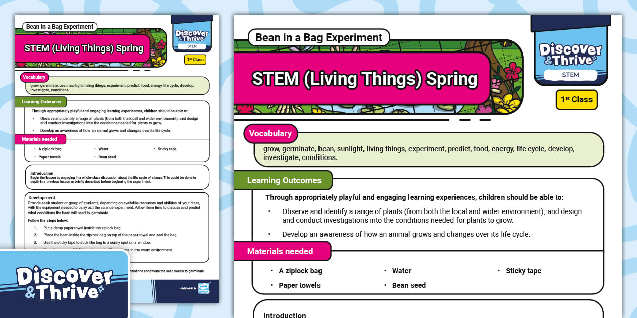 STEM (Living Things) Spring Bean in Bag Experiment - Twinkl