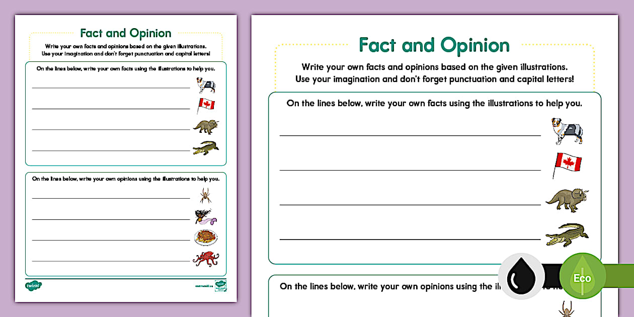 Fact and Opinion Writing Activity
