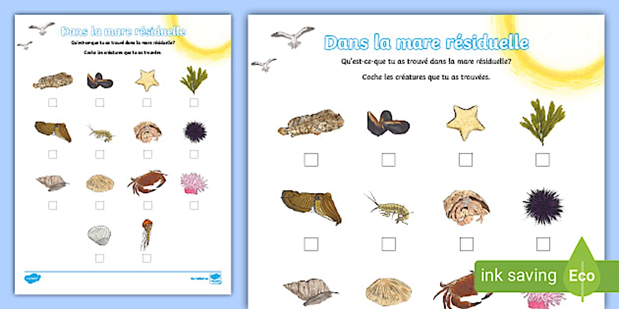 French Language Rock Pool Checklist Activity (teacher made)