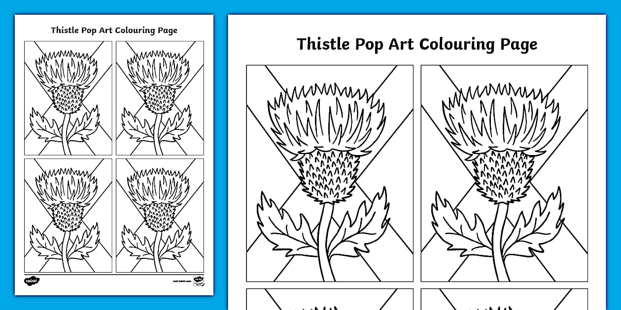 Thistle Pop Art Colouring Page (Teacher-Made) - Twinkl