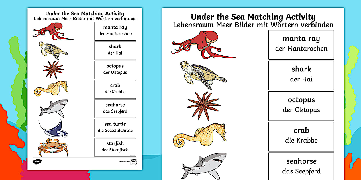 Under the Sea Differentiated Word and Picture Matching Worksheet