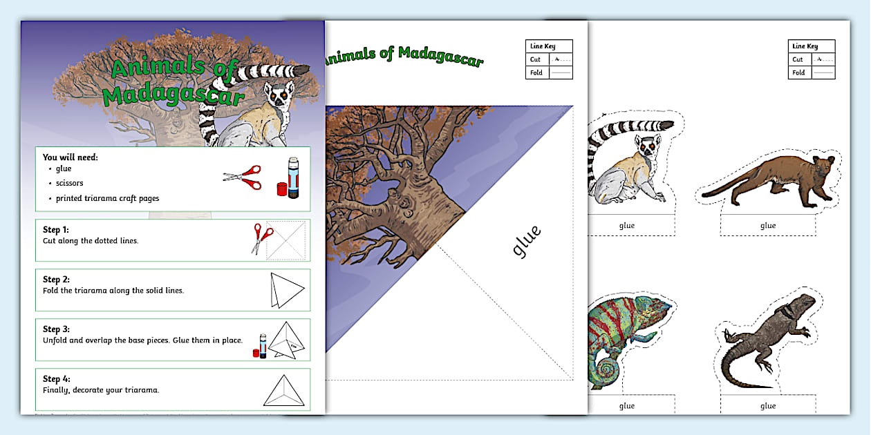 Animals of Madagascar Triarama Craft (Teacher-Made) - Twinkl