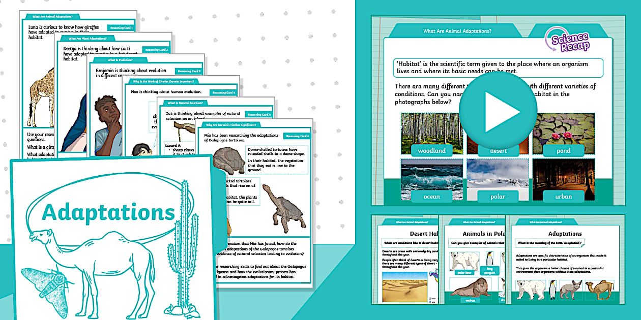 Step into Science: Year 6: Summer: Block 2: Adaptations: Steps 1 to 6