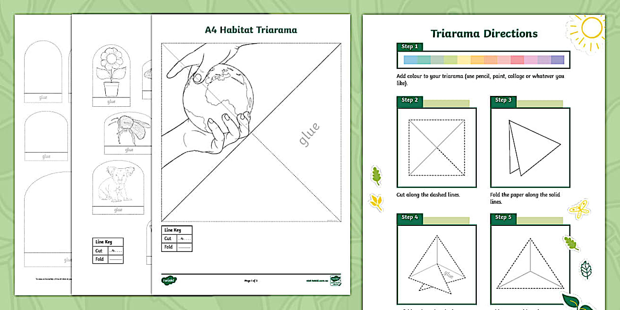 World Environment Day Triarama (teacher made) - Twinkl
