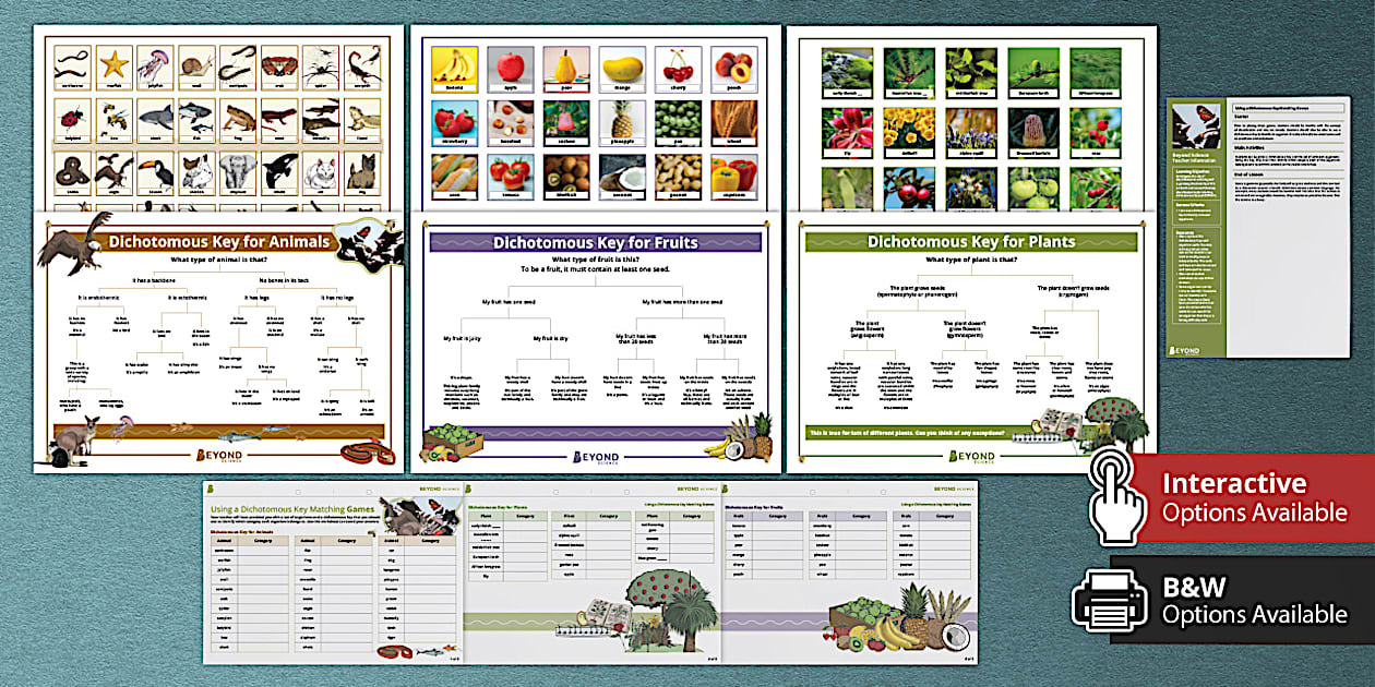 Using a Dichotomous Key Matching Games (teacher made)