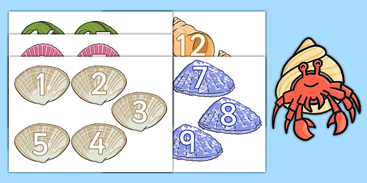Editable Number Shells Resource Pack (teacher made) - Twinkl