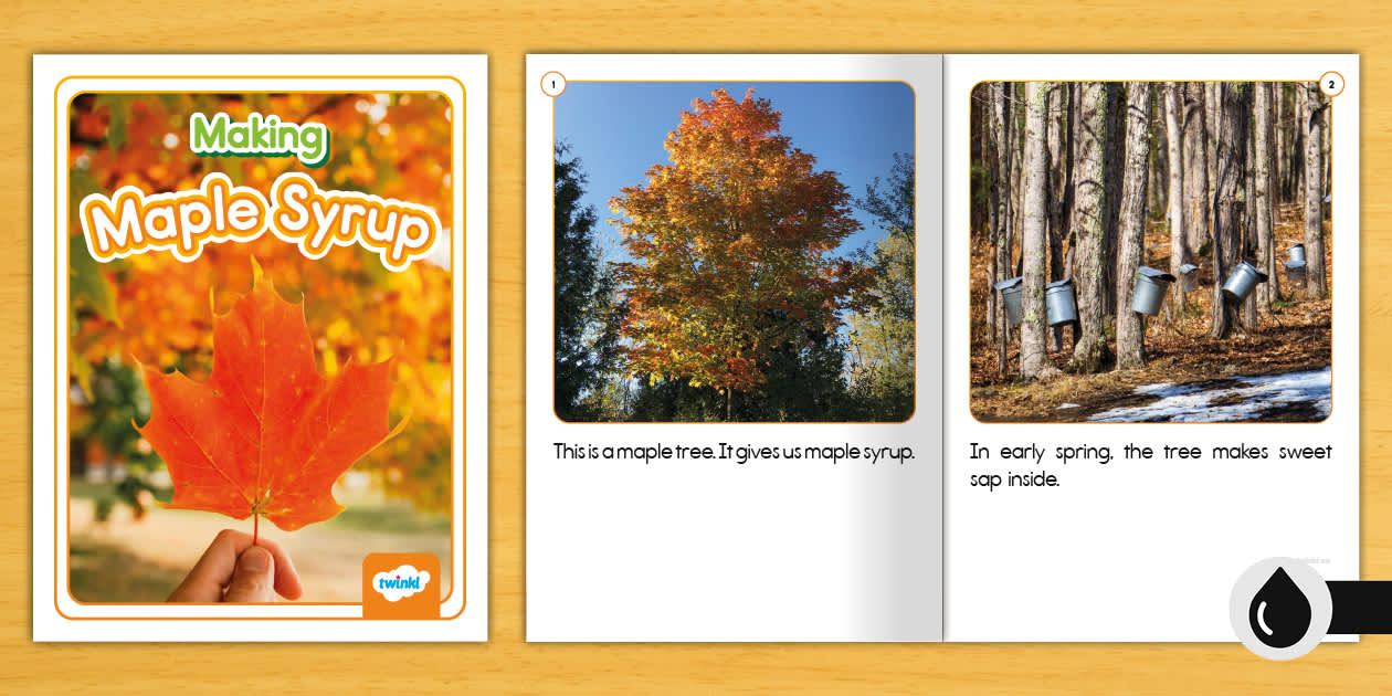 Making Maple Syrup Emergent Reader - Twinkl