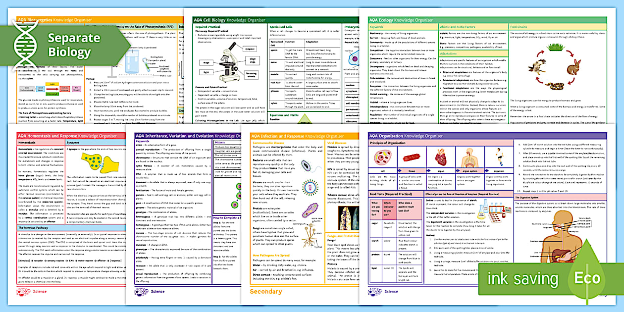 AQA GCSE Biology Knowledge Organisers (Separate) | Beyond