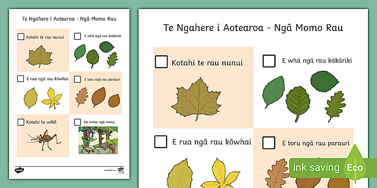 Te Ngahere i Aotearoa - Ngā Momo Rau (Teacher-Made)