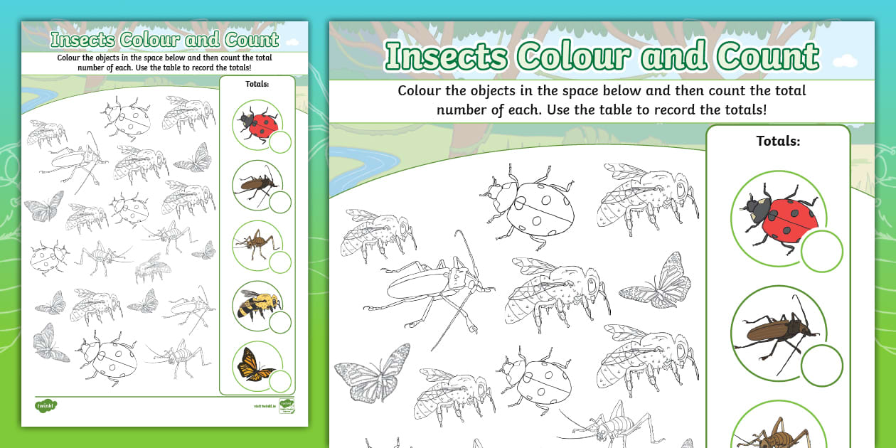 Insects Colour and Count Worksheet (teacher made) - Twinkl