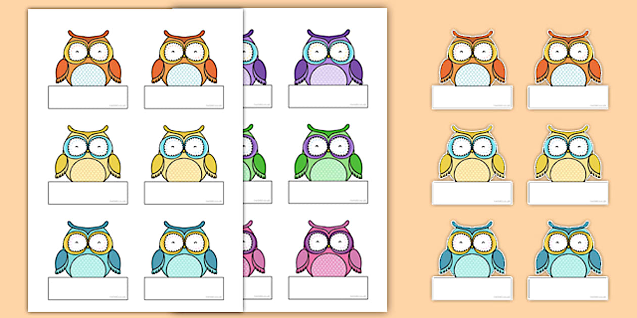 Editable Cute Owl Themed Self-Registration Labels - Twinkl