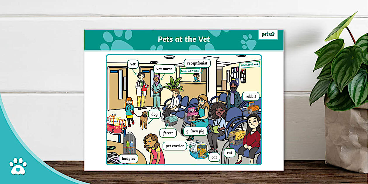 Pets at the Vet - Display Poster with Labels - Twinkl Pets