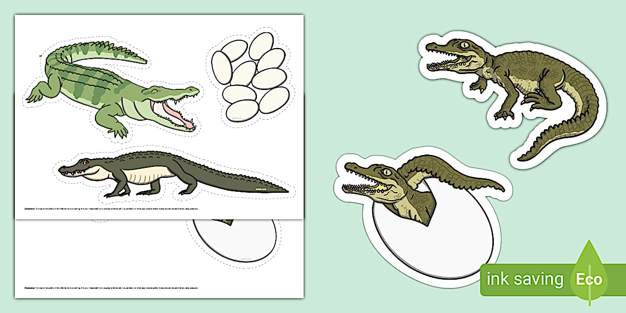 Crocodile Cut Outs (teacher made) - Twinkl