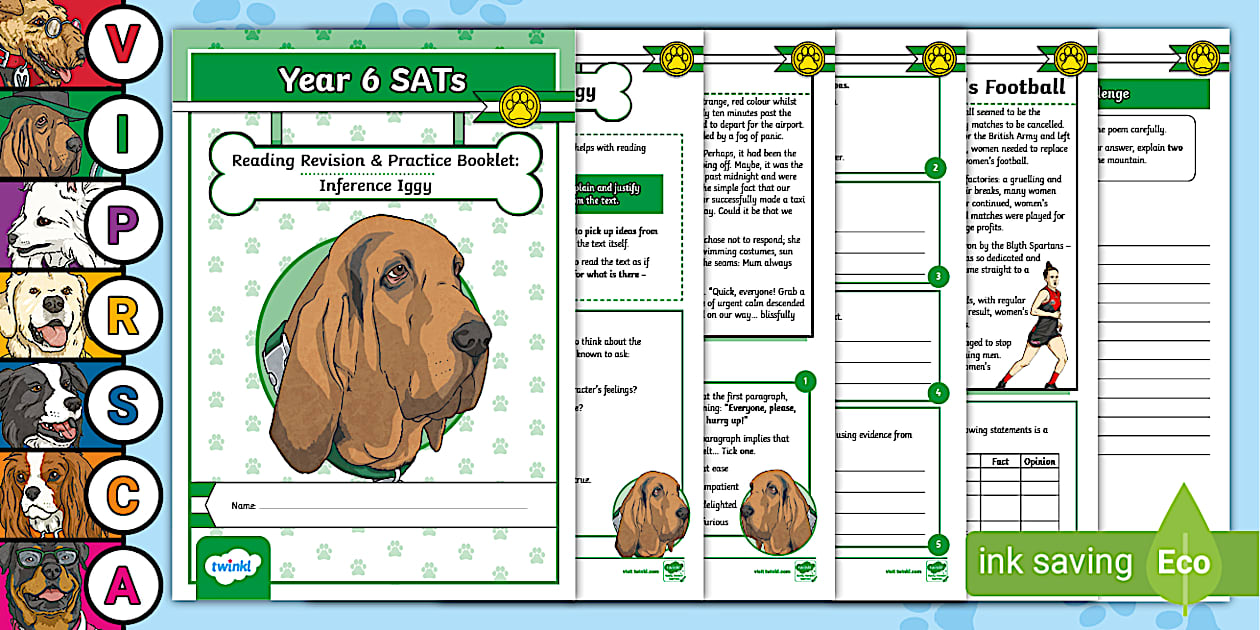 Year 6 Reading Revision & Practice Inference Iggy Booklet