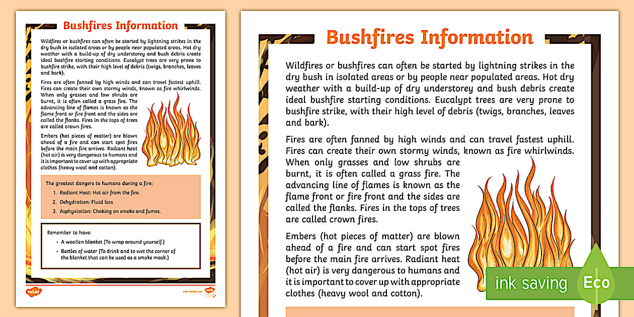 Editable Bushfire Fact File (teacher made) - Twinkl