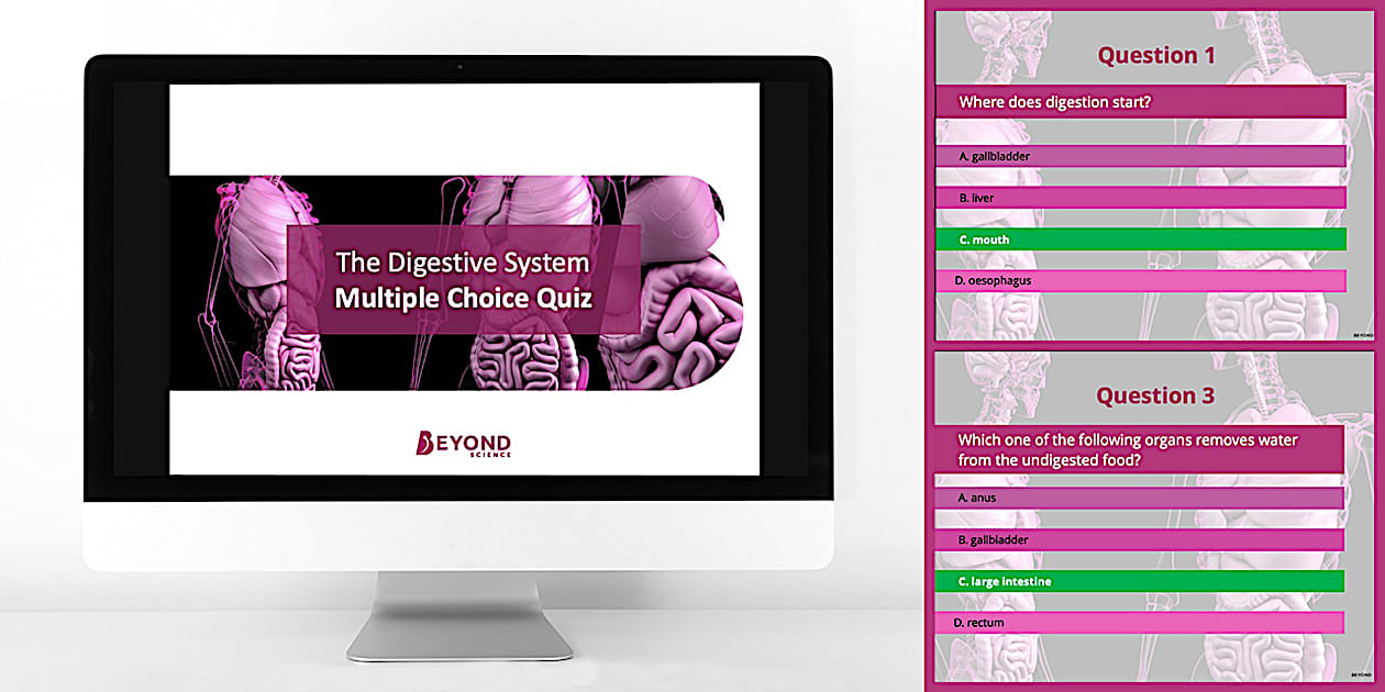 The Digestive System Multiple Choice Quiz PowerPoint