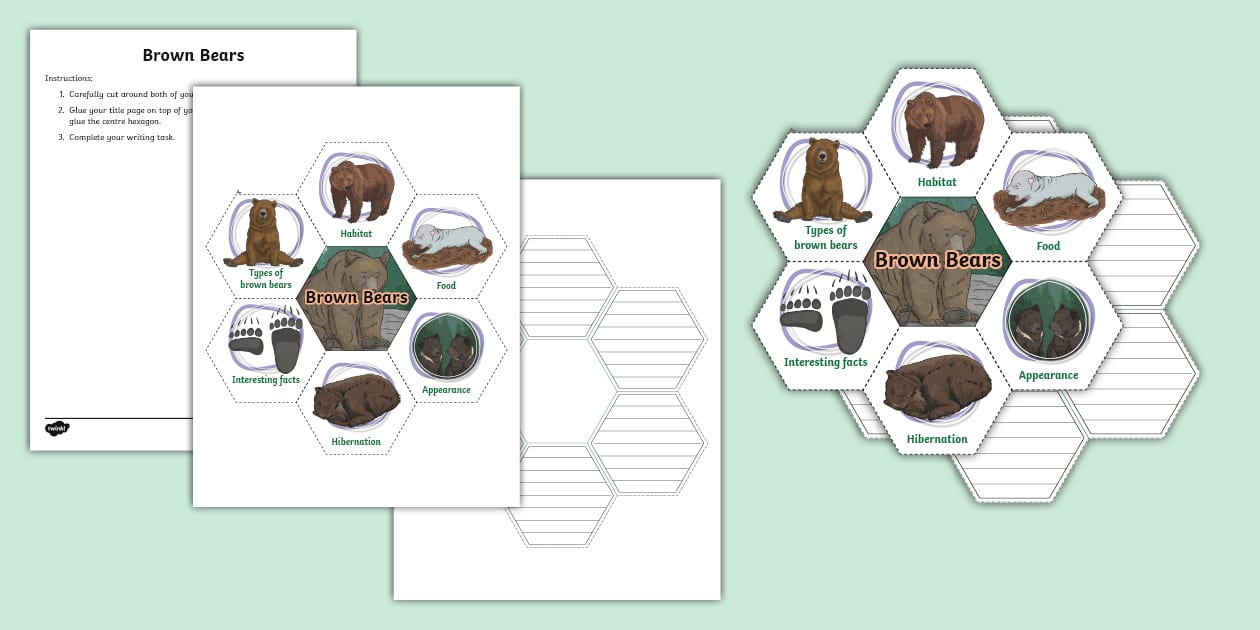 Brown Bear Hexagon Writing Template (teacher made) - Twinkl