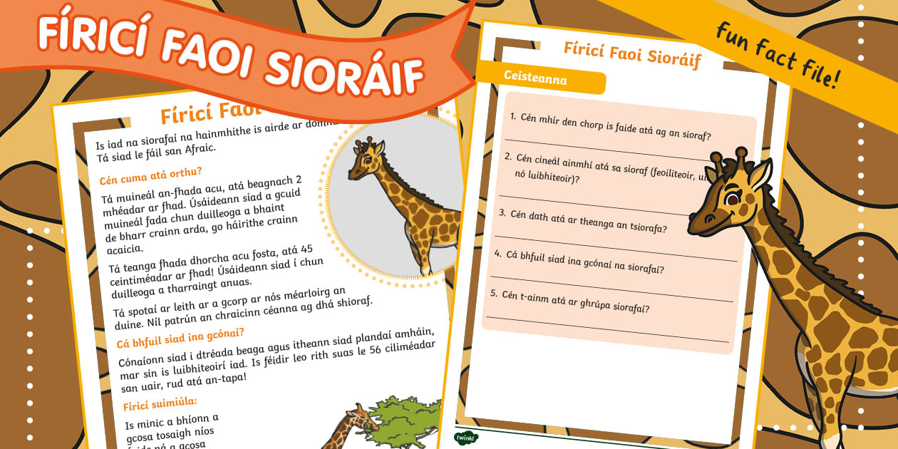 Fíricí Faoi Sioráif - Giraffe Fact File (teacher made)