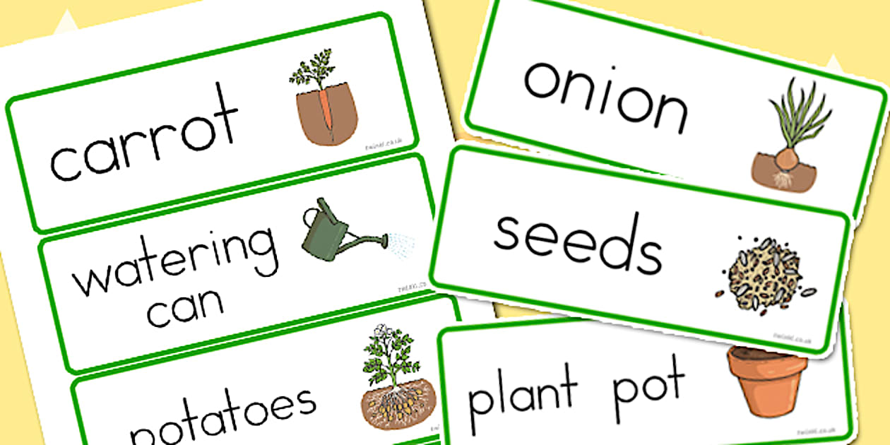 SA Grow Your Own Vegetables Word Cards (teacher made)