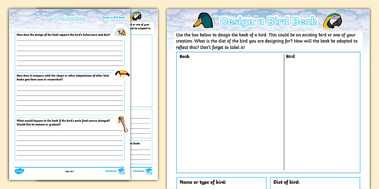 Design a Bird Beak Worksheet (teacher made) - Twinkl