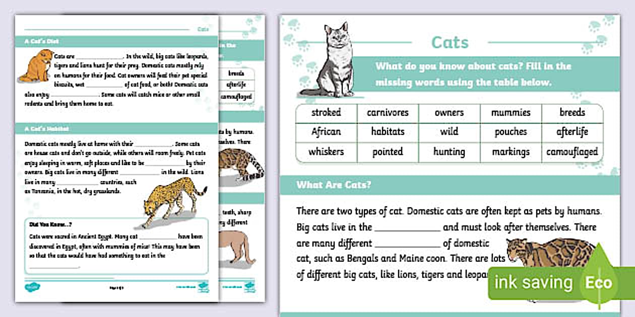 Cats Cloze Activity (Hecho por educadores) - Twinkl
