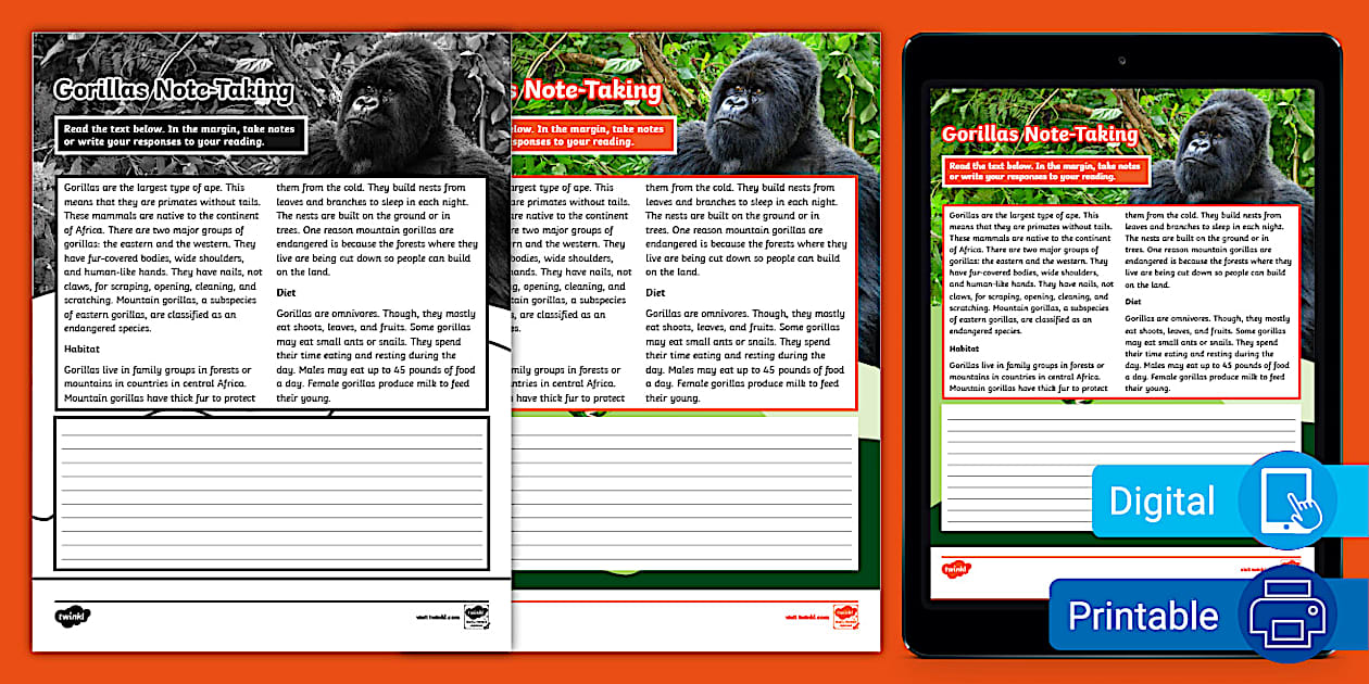 Fourth Grade Gorillas Reading and Note-Taking Worksheet