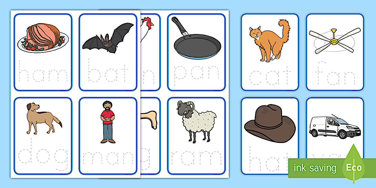 Trace the CVC Word Cards (teacher made) - Twinkl