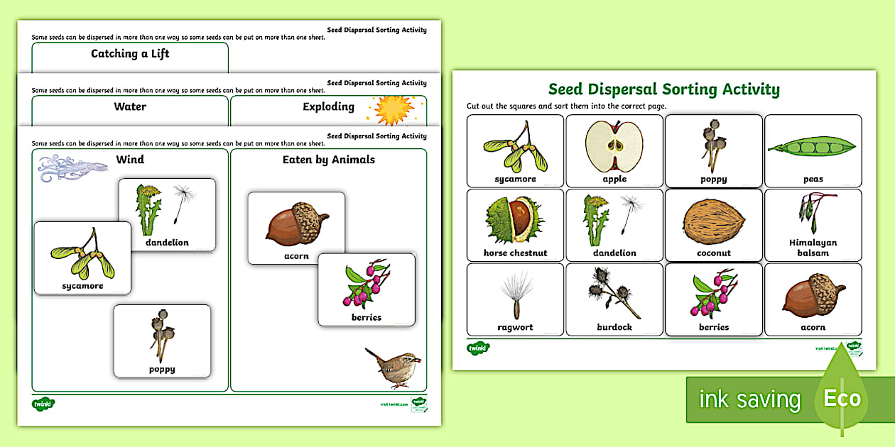 Seed Dispersal Sorting Activity -Seed Dispersal Lab Activity