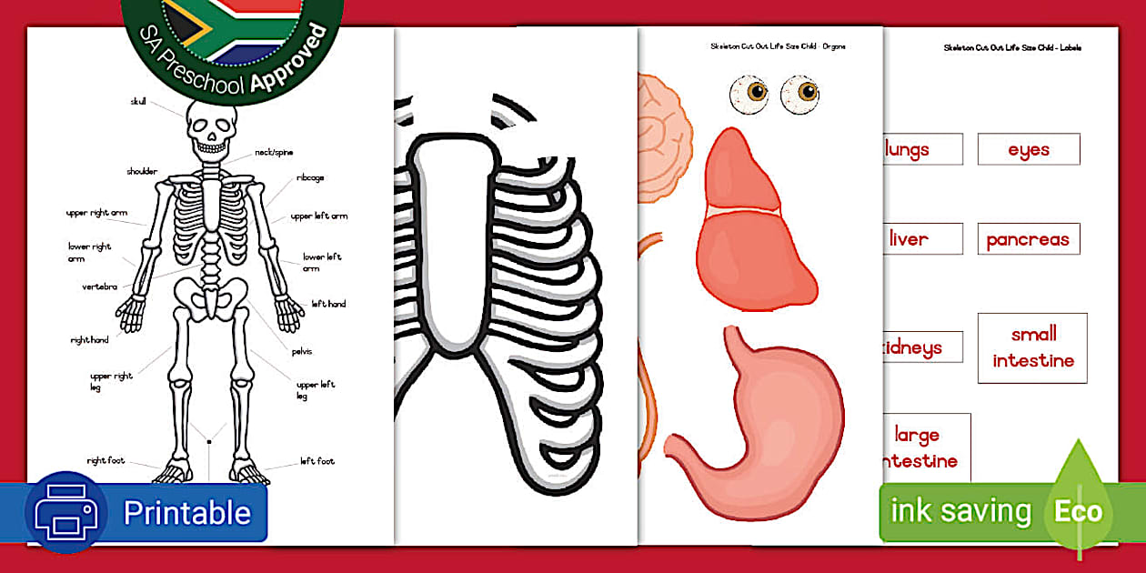 My Body: Cut And Paste Activity | Twinkl South Africa