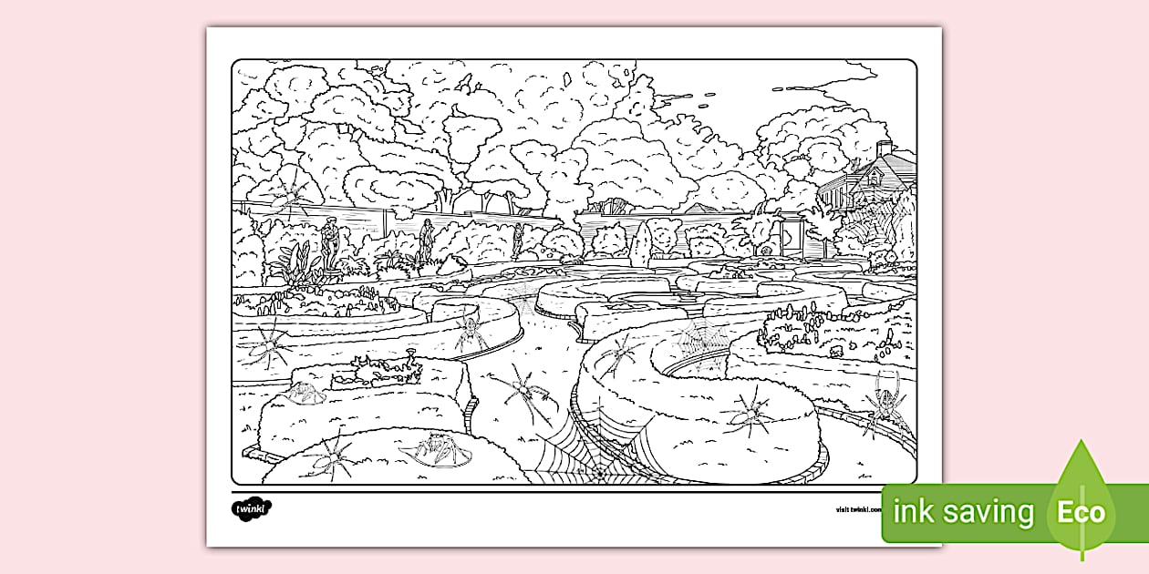 Spider Colouring Scene (teacher made) - Twinkl