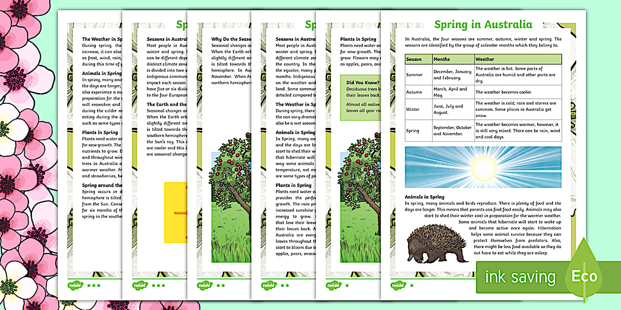 3-6 Spring in Australia Differentiated Reading Comprehension Activity