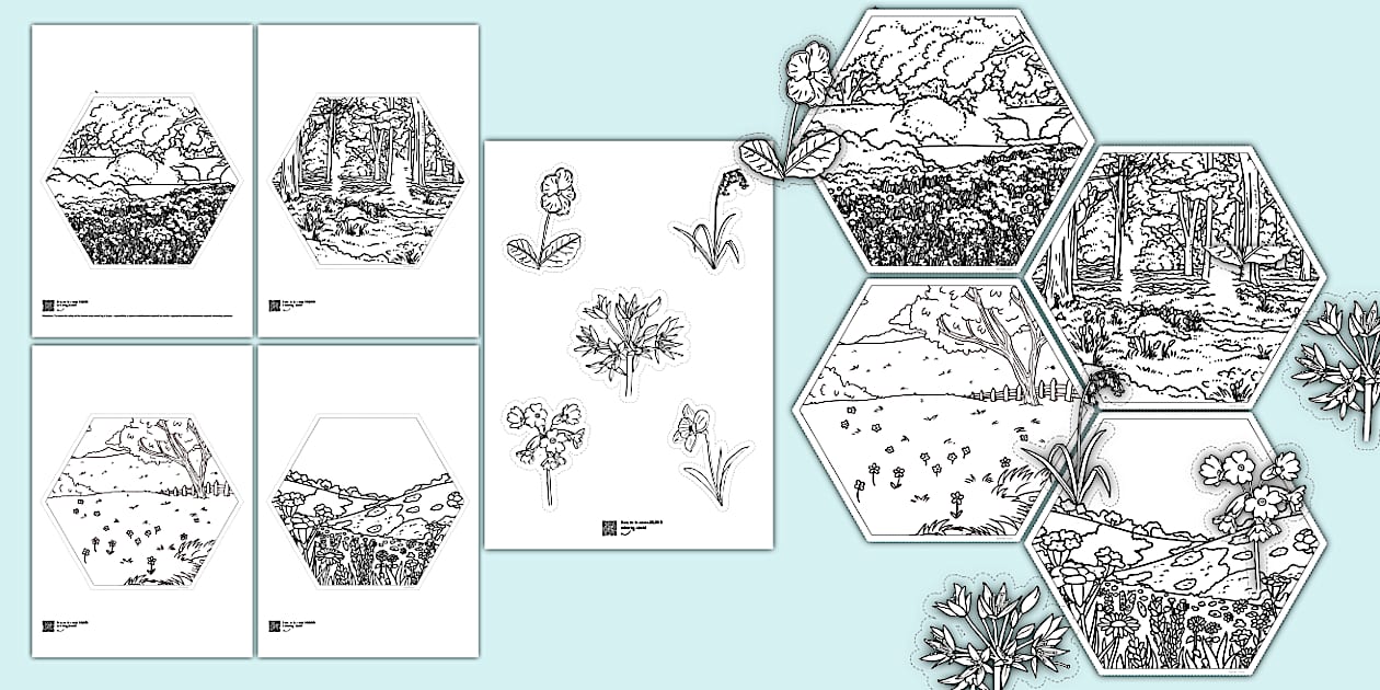 Spring Flowers Hexagon Display Colouring Activity