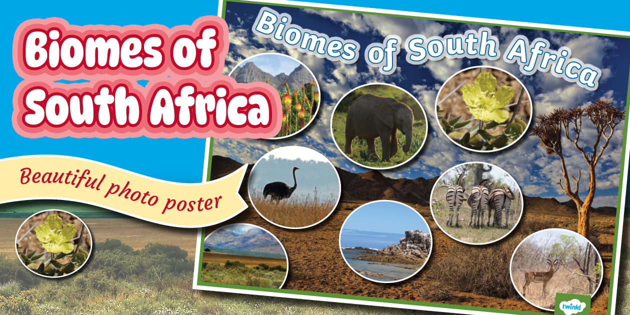 Intermediate Phase Natural Sciences and Technology - Biomes of South ...