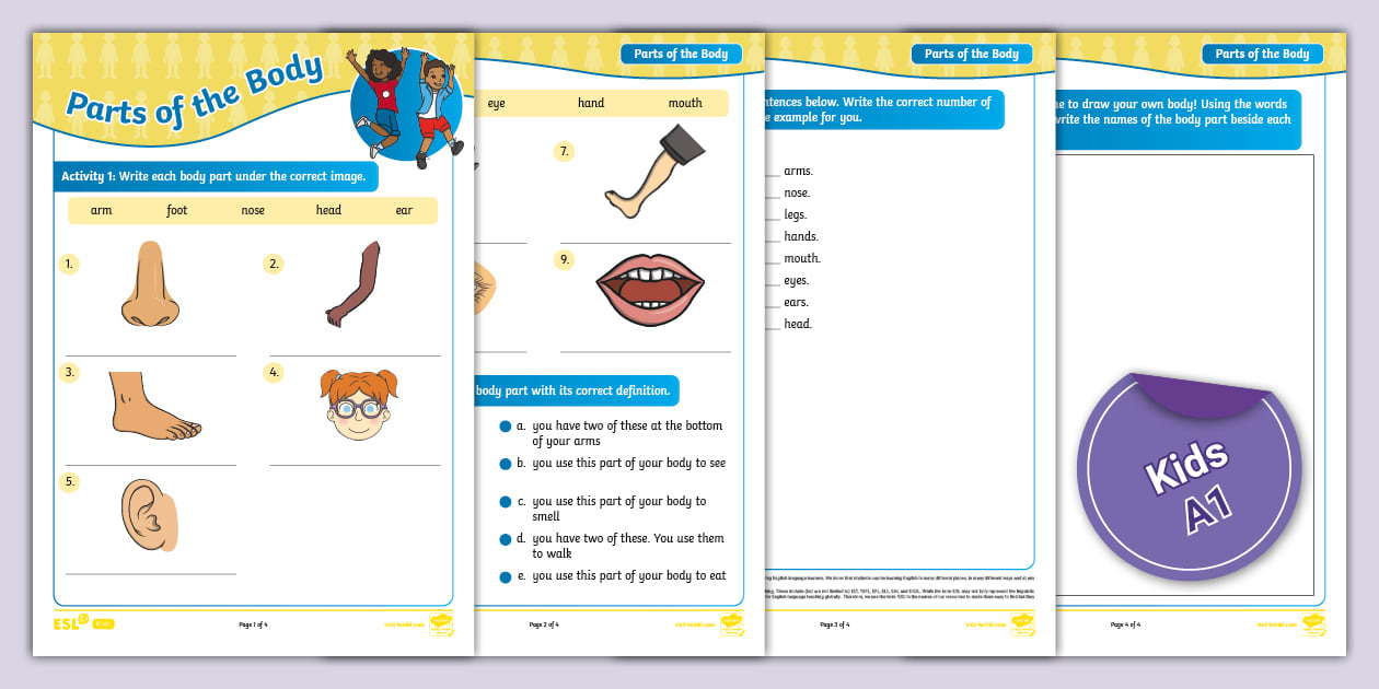 ESL Parts of the Body Worksheet for Kids (teacher made)