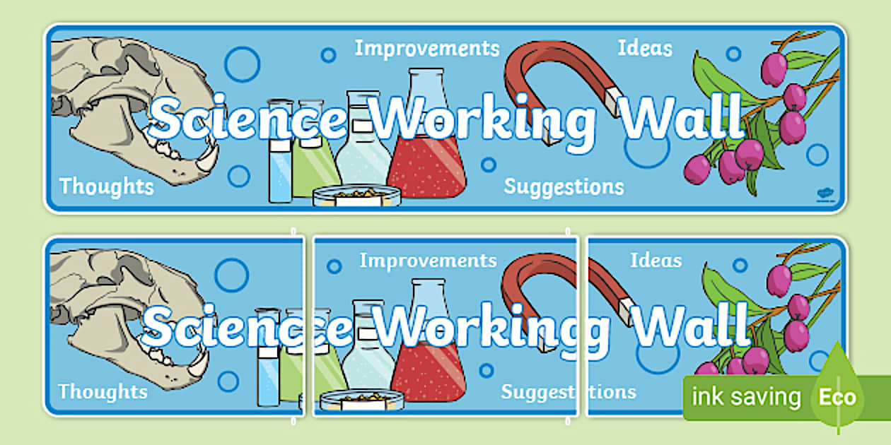 👉 Science Working Wall Display Banner (teacher made)