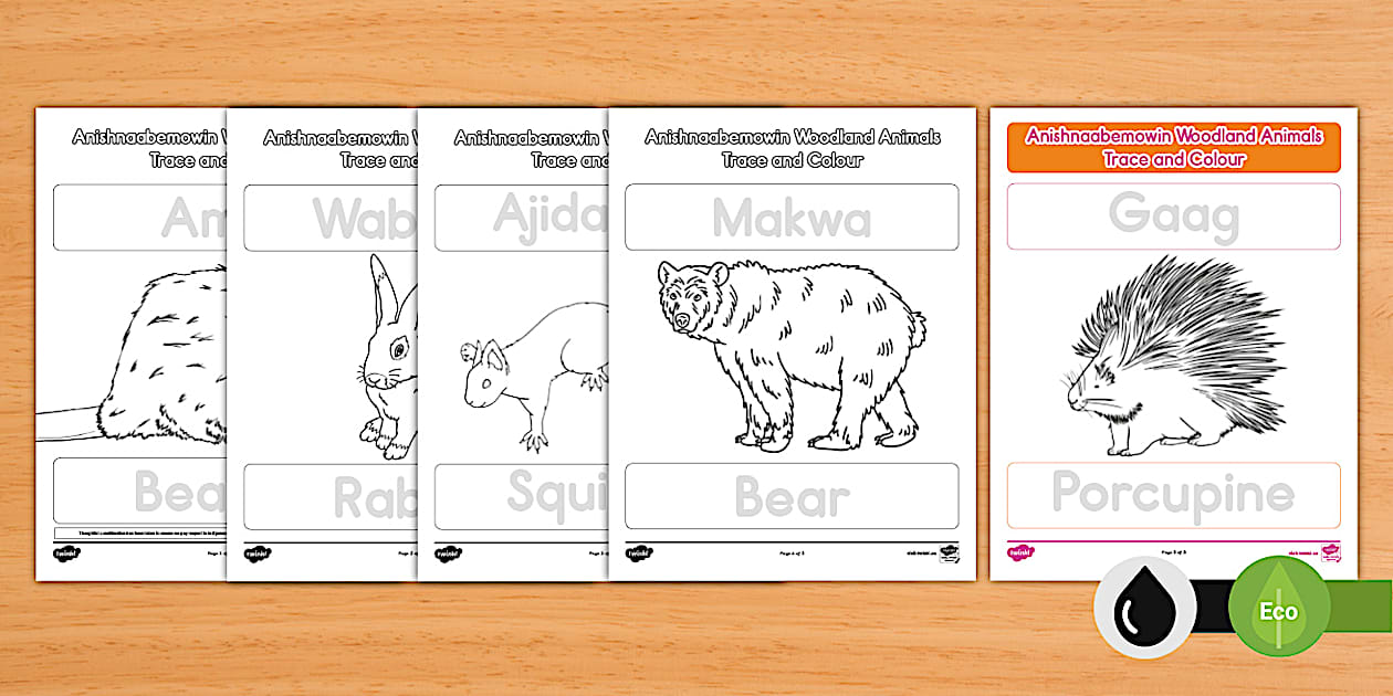 Anishnaabemowin Tracing Activity: Woodland Animals