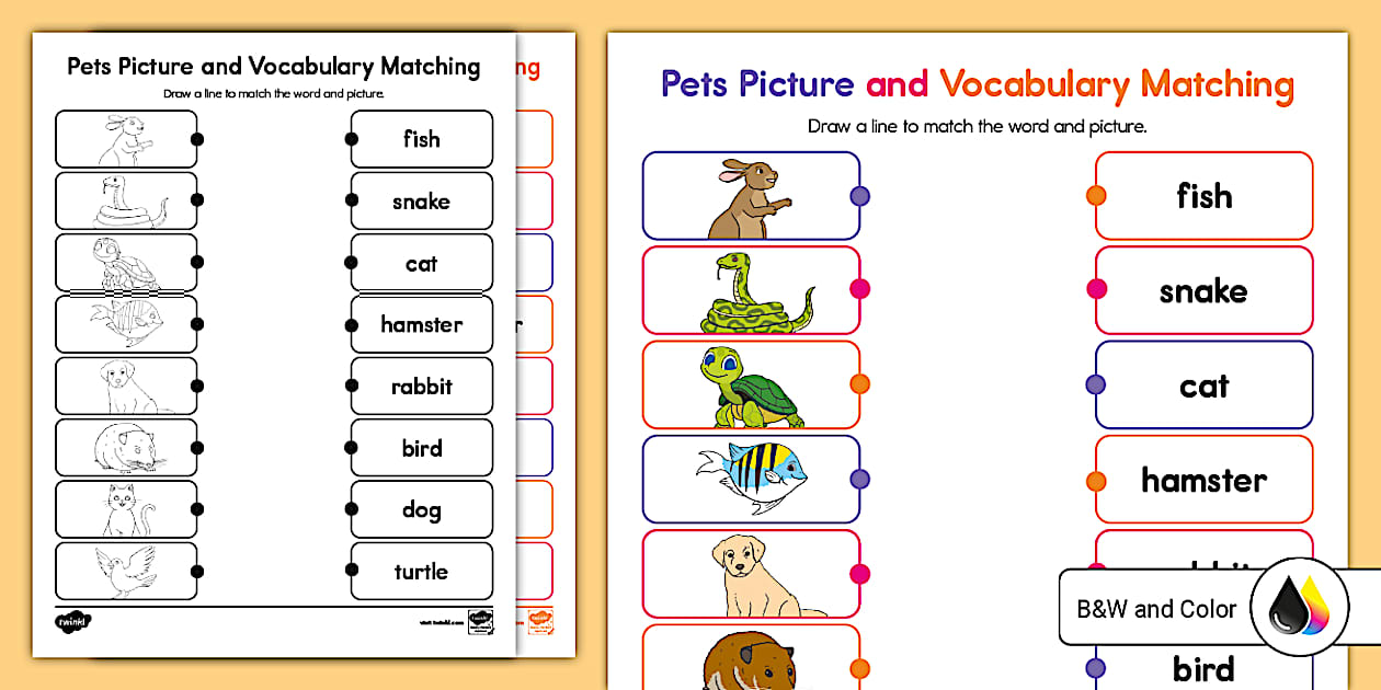 Pets Picture and Vocabulary Matching Worksheet for ELL