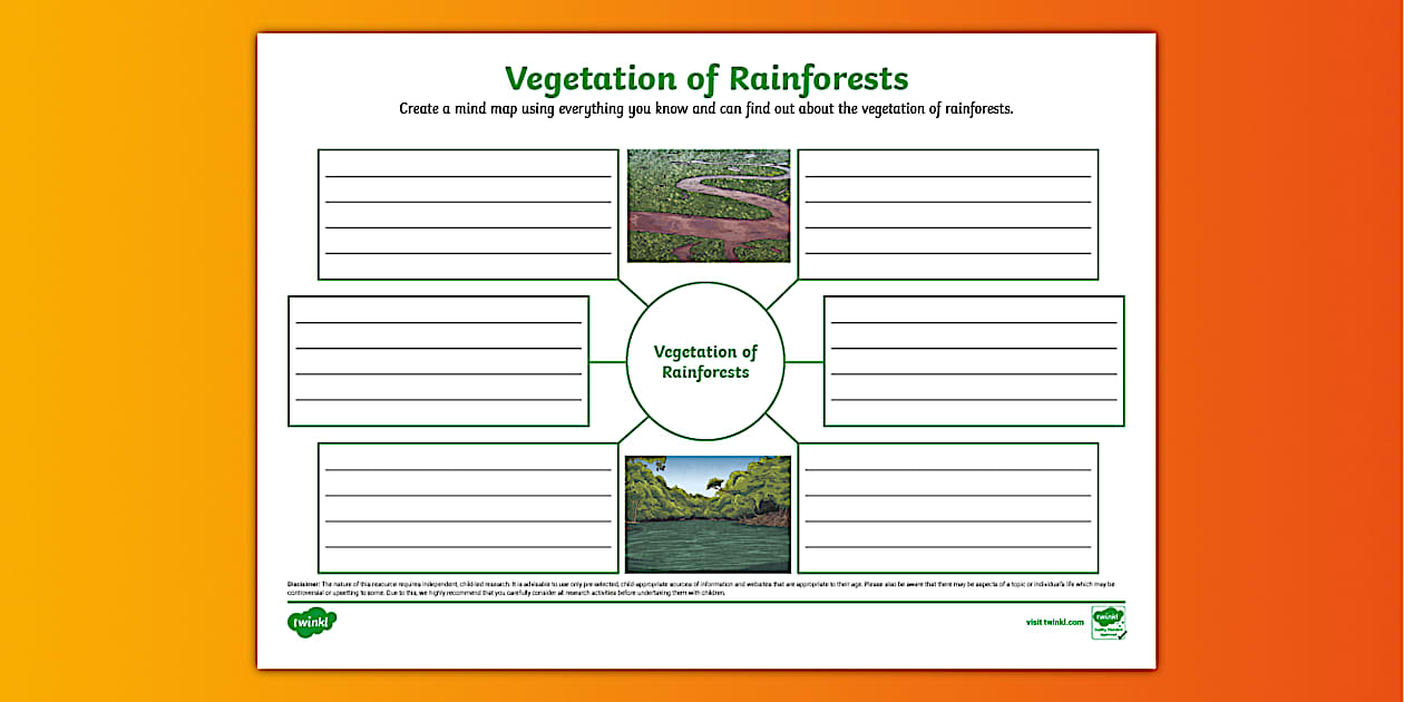 Vegetation of Rainforests Mind Map (teacher made) - Twinkl