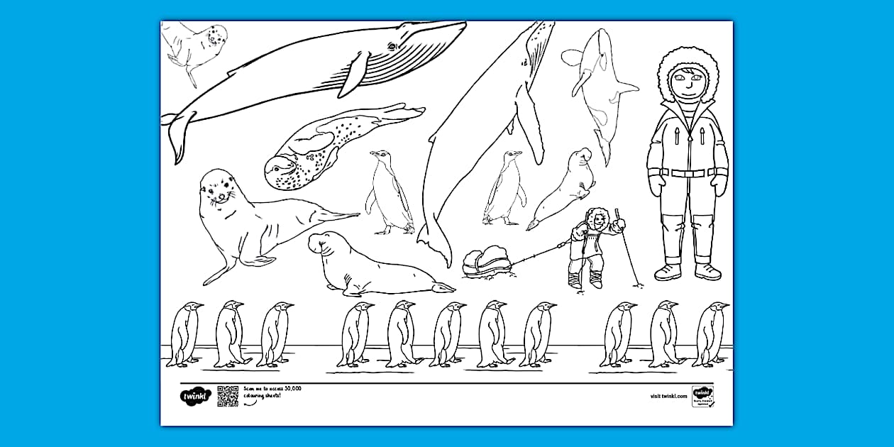 Antarctica Doodle Colouring Page (teacher made) - Twinkl