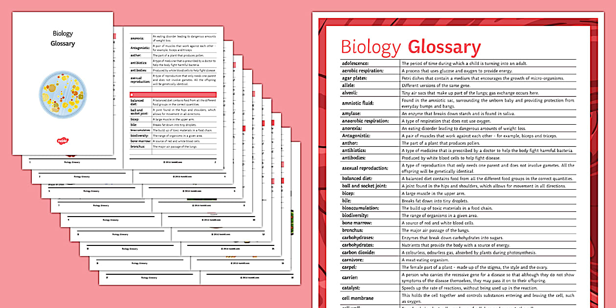 Key Stage 3 Biology Glossary (teacher made) - Twinkl