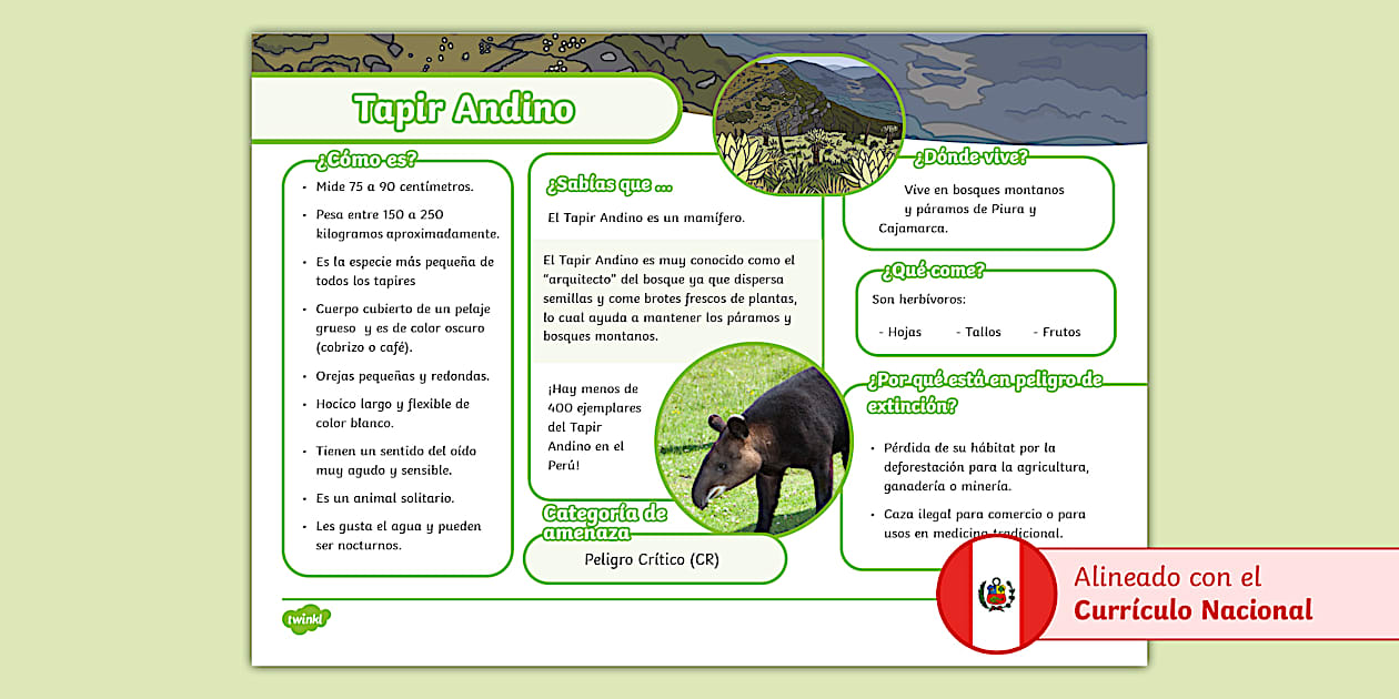 Texto informativo: Tapir Andino (Teacher-Made) - Twinkl Texto informativo: Tapir Andino (Teacher-Made) - Twinkl