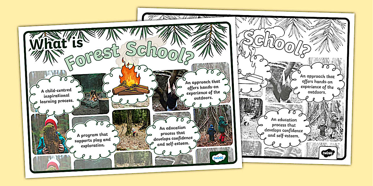 What Is Forest School? Display Poster (teacher made)