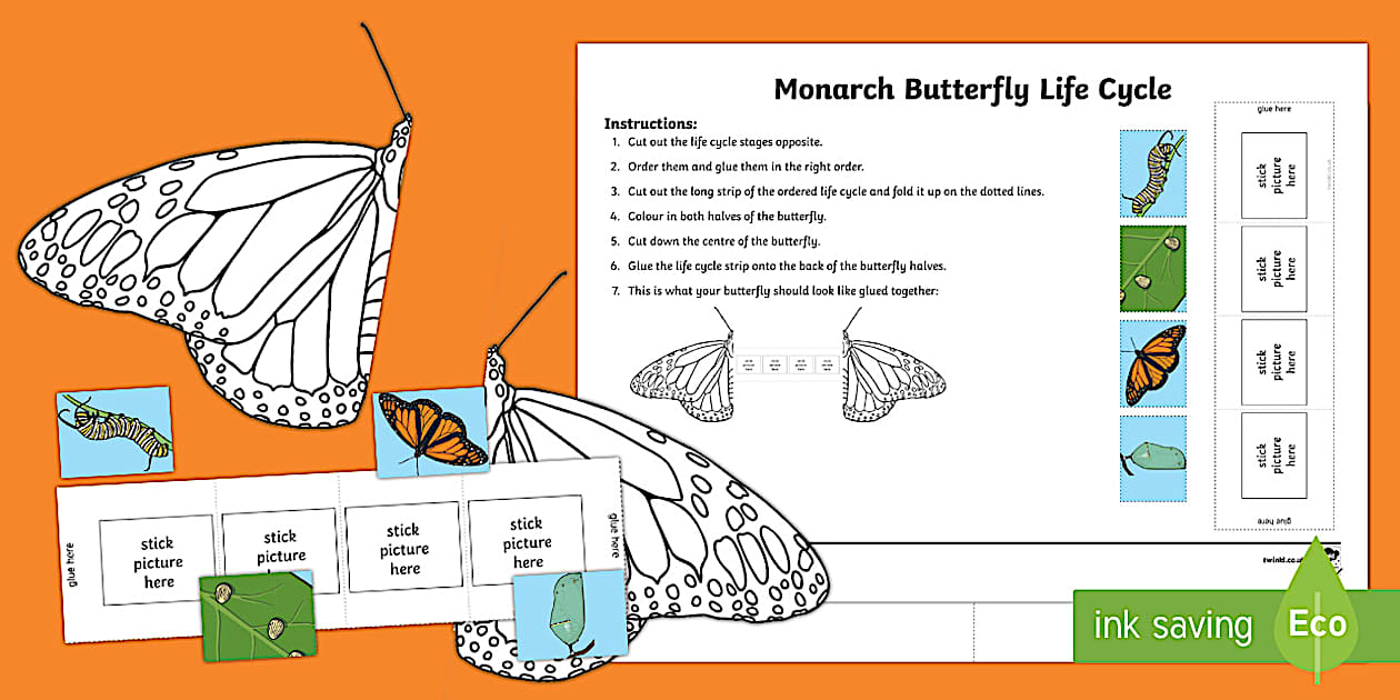 Life of a Monarch Butterfly Worksheets - Twinkl