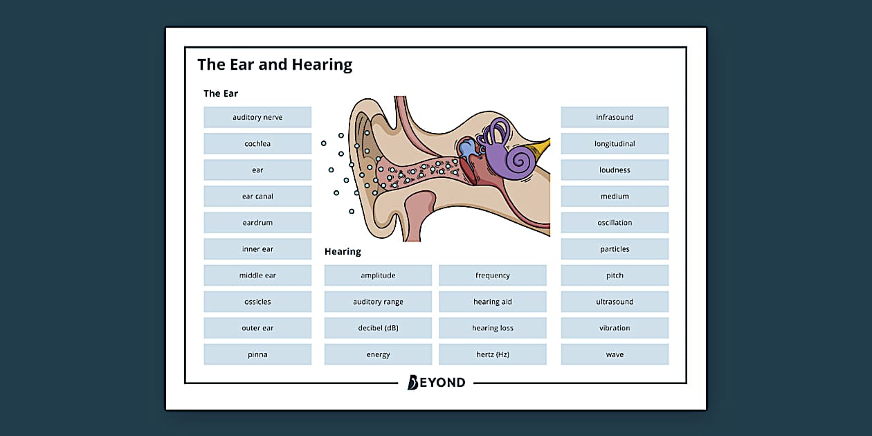 Hearing Word Mat (teacher made) - Twinkl
