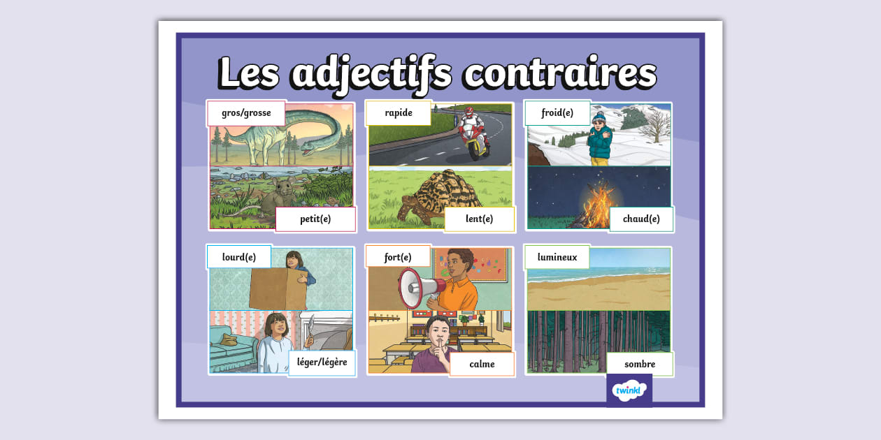 Affiches : Les adjectifs contraires (teacher made) - Twinkl
