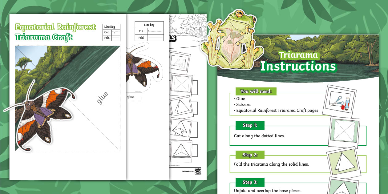 Equatorial Rainforest Triarama Craft (teacher made) - Twinkl