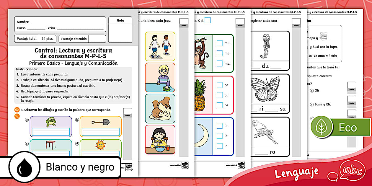 Prueba | leer | consonantes | primero básico | Lenguaje