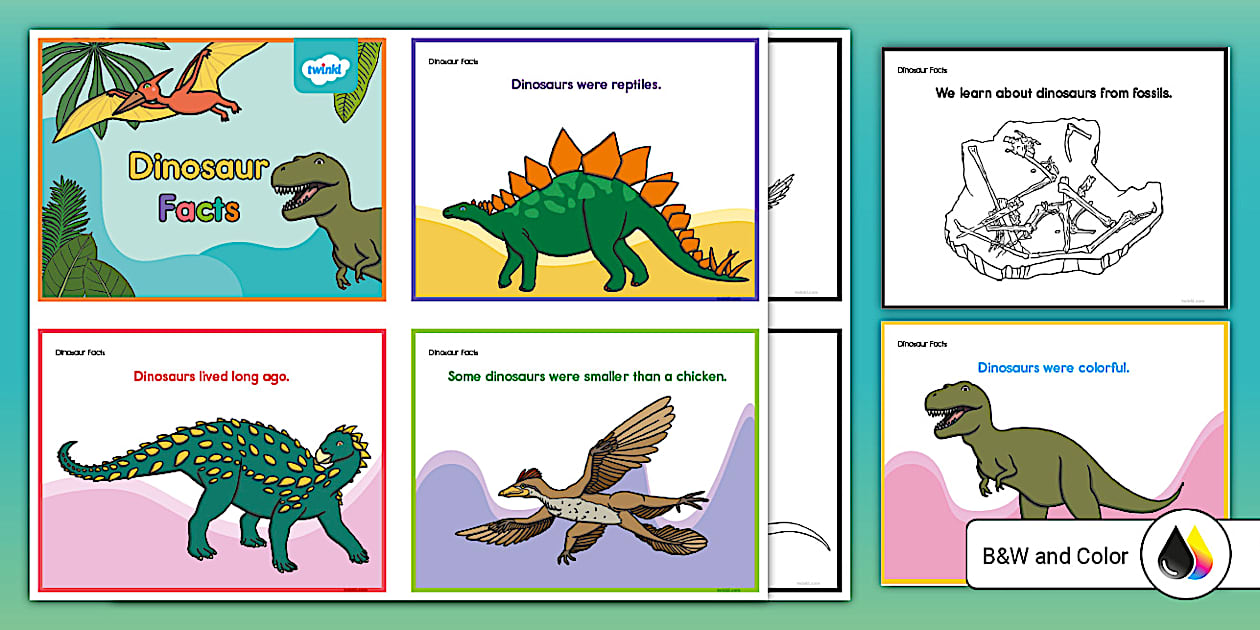 Colorful Dinosaur Fun Facts Cards for Kids | Twinkl USA